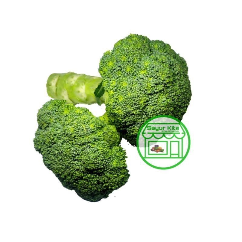 Jual brokoli segar 500 gram | Shopee Indonesia