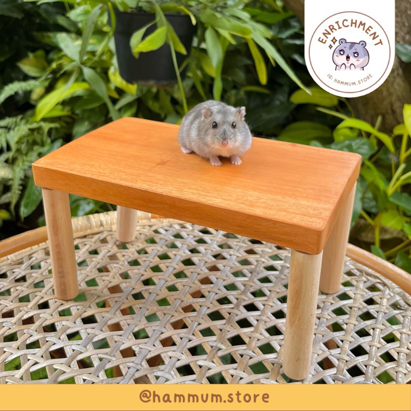 Jual Platform Hamster Kayu 23 x 13 | Meja Makan Hamster | Meja Landak ...