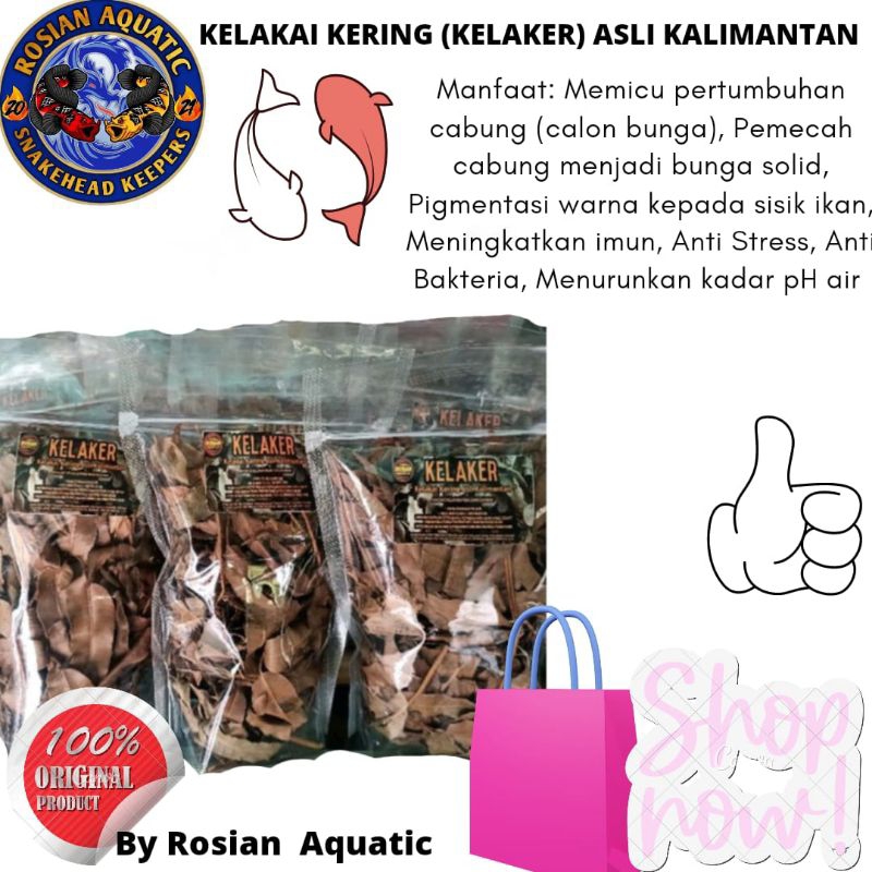 Jual kelakai kering (kelaker) ASLI KALIMANTAN | Shopee Indonesia