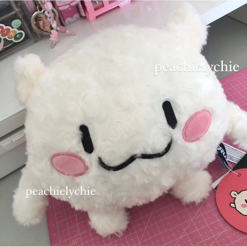 Jual (UNSEALED) TRUZ RURU LINE FRIENDS/ Haruto doll / Treasure doll ...