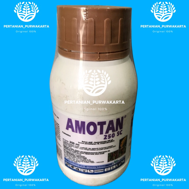 Jual FUNGISIDA AMOTAN 250 ML MEMBASMI PENYAKIT ANTRAKNOSA PADA TANAMAN ...