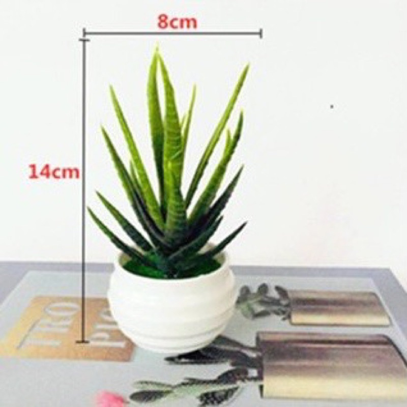 Jual BUNGA HIAS KAKTUS MINI ARTIFICIAL /BUNGA ARTIFICIAL SUKULEN/ BUNGA ...