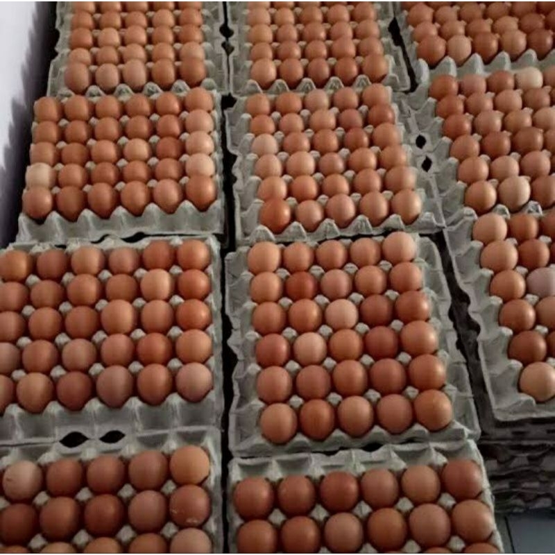 Jual Telur Ayam Negeri Fresh / Telur Bebek Telur Asin / Telur ayam ...