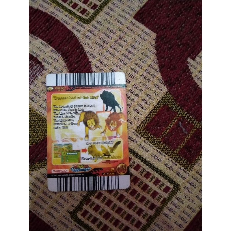 Jual Apollo The Liger Cub | Shopee Indonesia