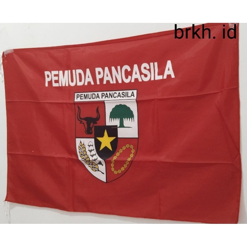 Jual BENDERA PP - BENDERA PEMUDA PANCASILA 60X90 | Shopee Indonesia