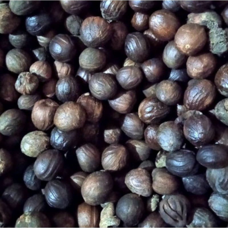 Jual Pala Kering 100gr | Shopee Indonesia