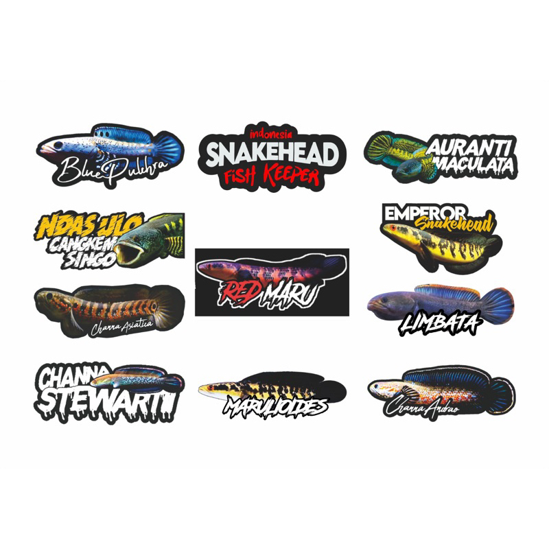 Jual stiker aquarium channa murah | Shopee Indonesia