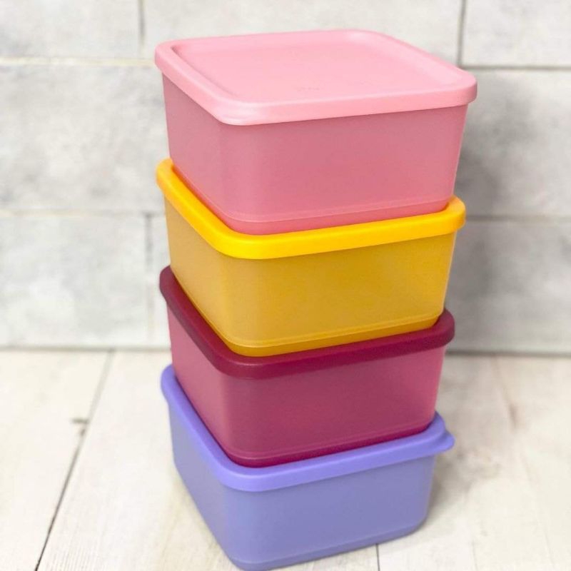 Jual Tupperware SMALL TROPICAL FIESTA ORI Promo isi 4 | Shopee Indonesia
