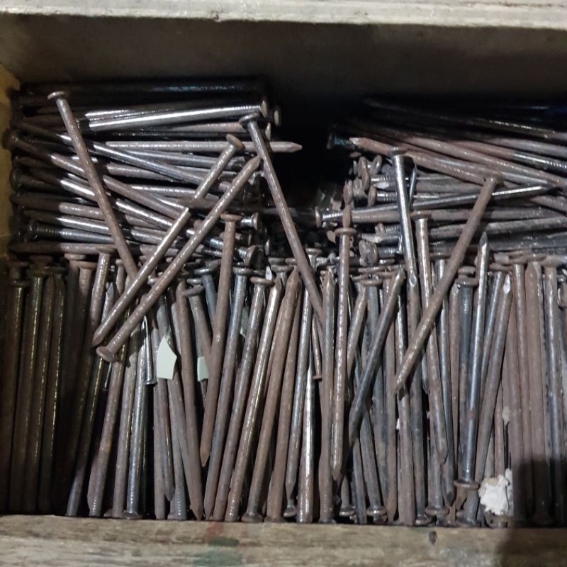 Jual PAKU 4" 5" / PAKU DUDUR | Shopee Indonesia