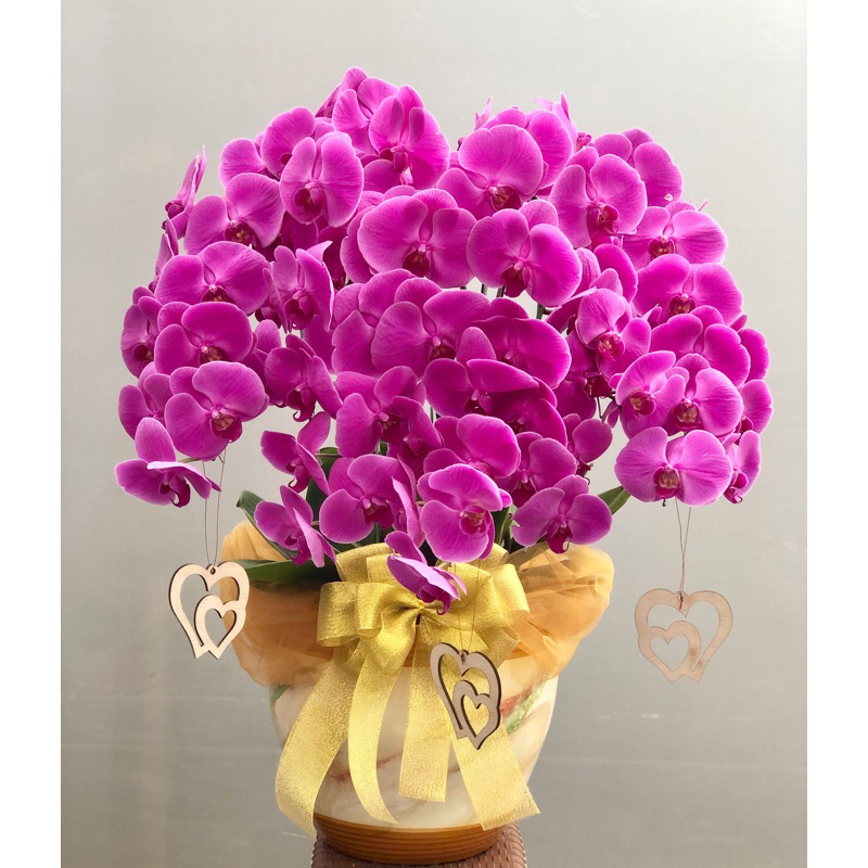 Jual Rangkaian Anggrek Bulan Premium dan Super Premium 7 Tangkai ...