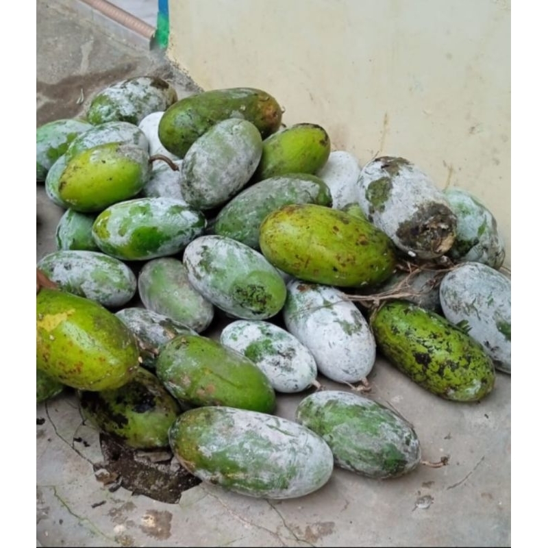 Jual Buah Beligo, Bligo, Kundur 1 kg, Masih segar, fresh baru petik a ...