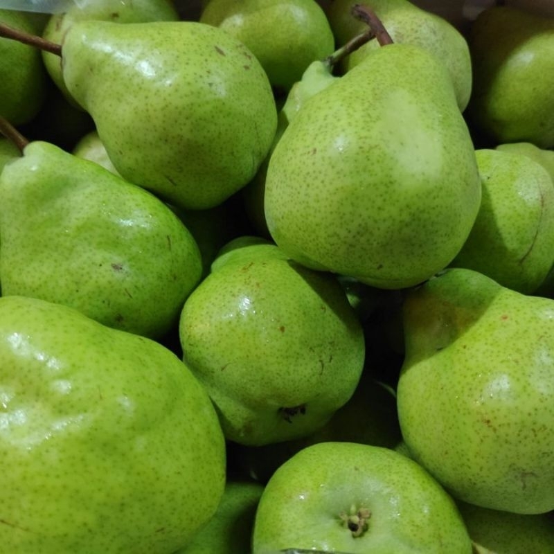 Jual Pear Ijo Pacham 500gr/1kg | Shopee Indonesia