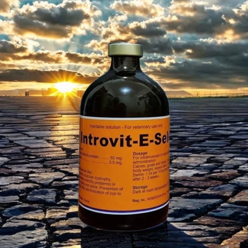 Jual INTROVIT E SELEN Vitamin E Selenium Injeksi Hewan Holland ...