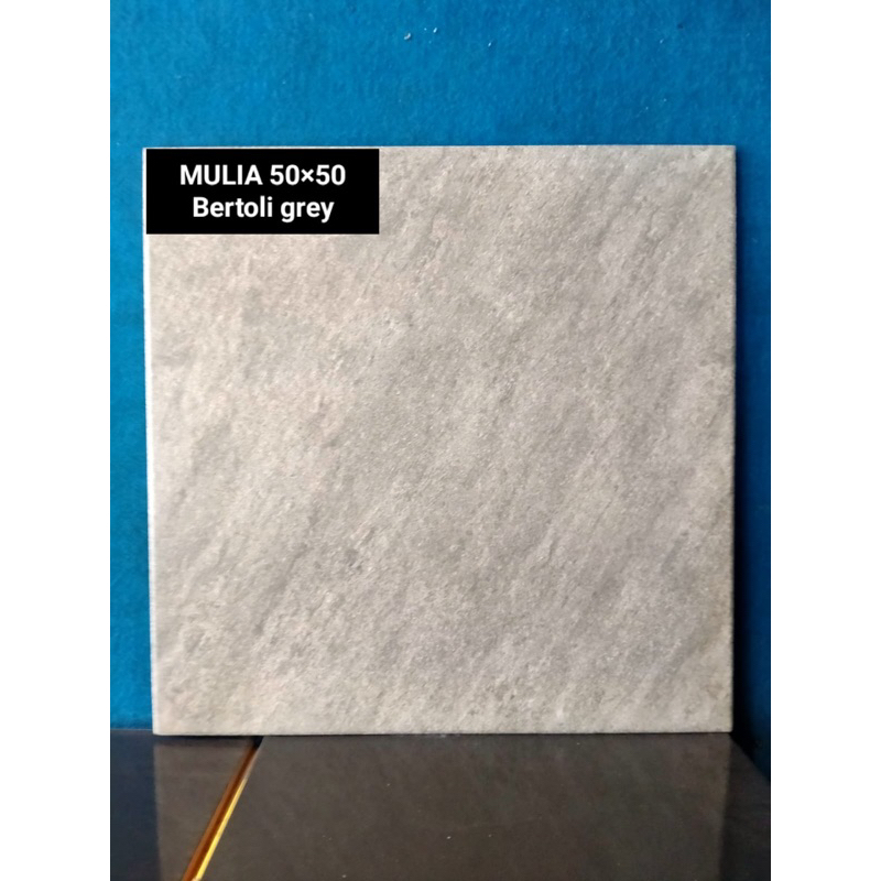 Jual Kramik lantai 50x50,Bertoli grey | Shopee Indonesia