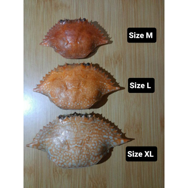 Jual Ketam Isi Daging Rajungan | Kepiting Isi - Ketam Buncit | Shopee ...