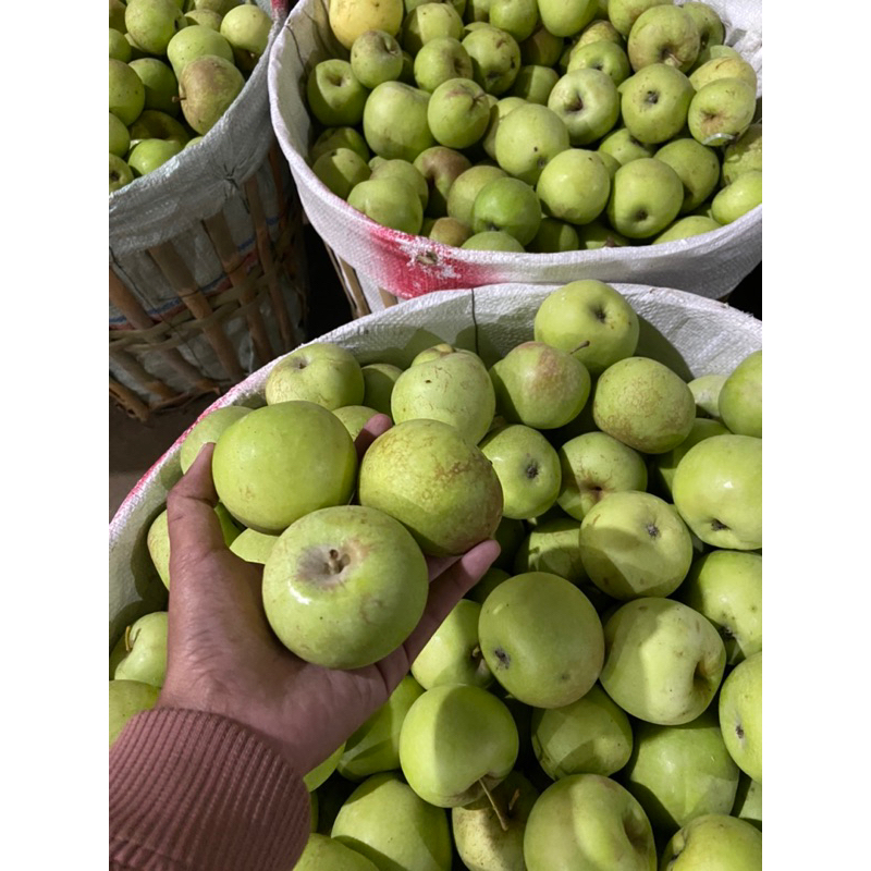 Jual apel manalagi ukuran sedang A-B 1kg isi 11-13 biji | Shopee Indonesia