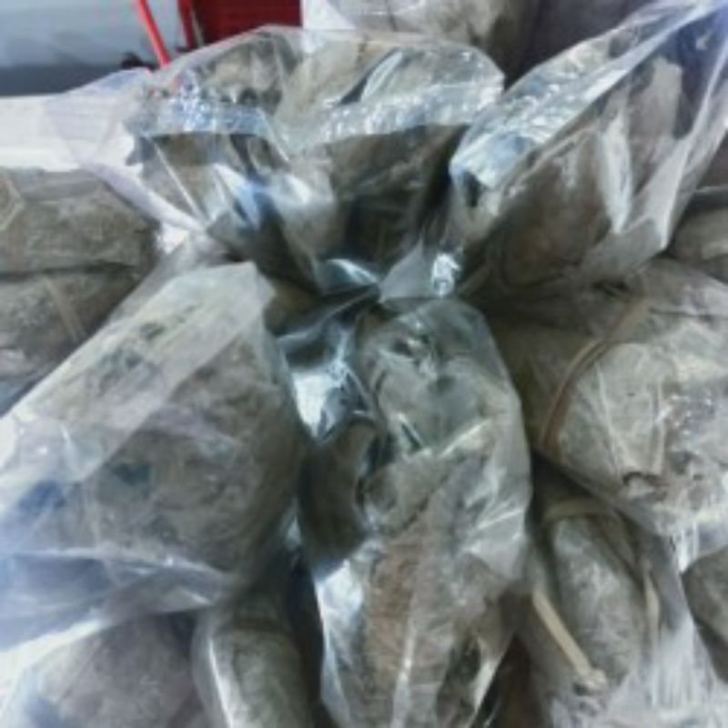 Jual Daun gambir kering(perbungkus isi 3 ikat) | Shopee Indonesia