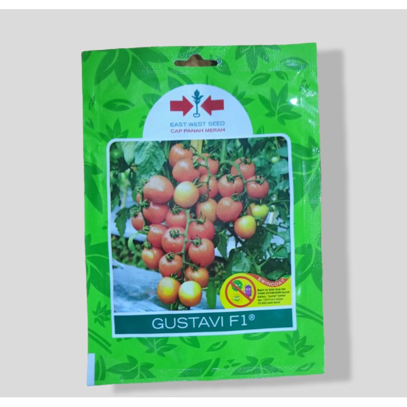 Jual BENIH / BIBIT TOMAT GUSTAVI F1 150 Butir | Shopee Indonesia