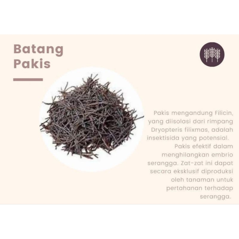 Jual Media tanam pakis cacah siap pakai bersih | Shopee Indonesia