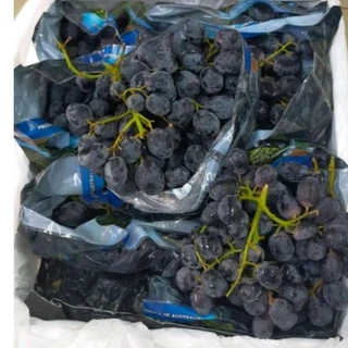 Jual anggur autumn Harga Terbaik & Termurah Januari 2026 | Shopee Indonesia