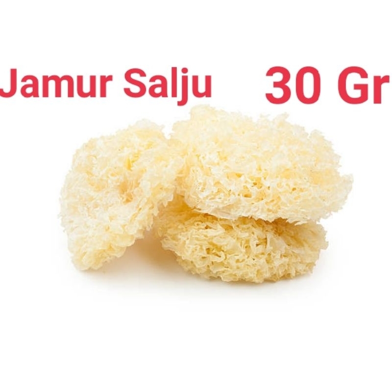 Jual Jamur Es Super/ Jamur Salju / Snow White Fungus / Jamur Putih ...