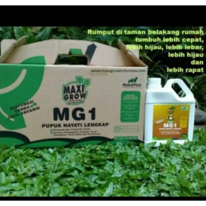 Jual Maxi grow MG1 pupuk hayati, lengkap maxigrow 1 liter mempercepat tumbuhan original | Shopee ...