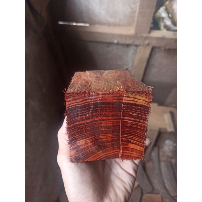 Jual bahan kayu zebra merah 1 kg | Shopee Indonesia