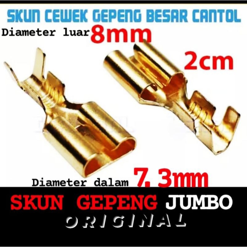 Jual SKUN GEPENG MALE FEMALE JUMBO | Shopee Indonesia