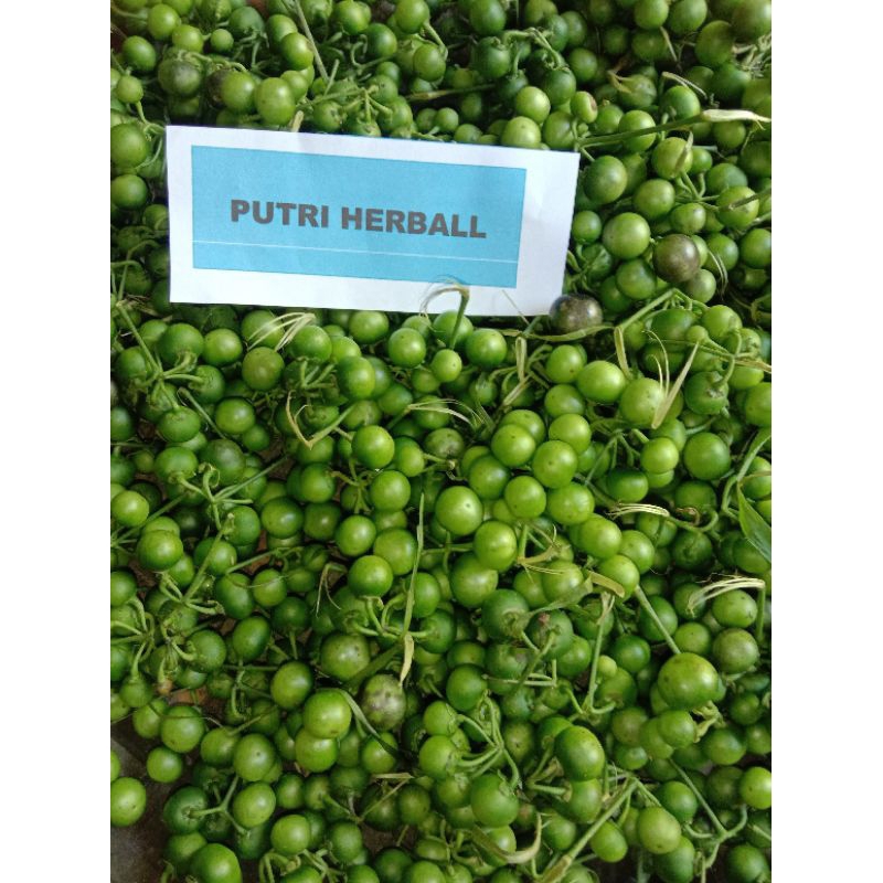 Jual BUAH LENCA SAYUR SEGAR BUAH LEUNCA RANTI PER 1 KG | Shopee Indonesia