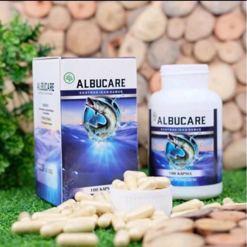 Jual Albucare Kapsul Ikan Gabus Obat pengering luka borok bernanah gatal | Shopee Indonesia