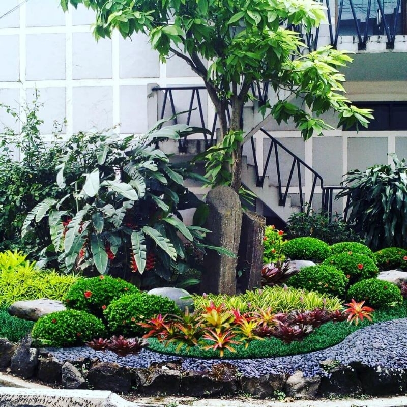 Jual Tanaman hias pembuatan taman landscape tropis dan subtropis(taman ...