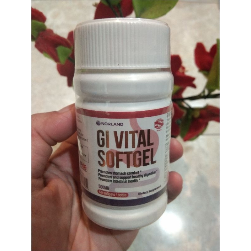 Jual GI Vital Norland - Atasi Asam Lambung | Shopee Indonesia