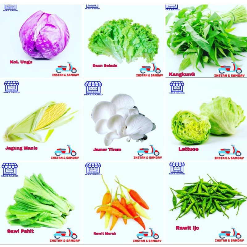 Jual SAYUR MAYUR CUSTOM | Shopee Indonesia