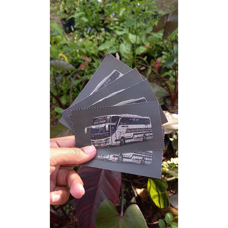 Jual 5 sticker bis stiker bus tunggal jaya kids panda panjang | Shopee ...