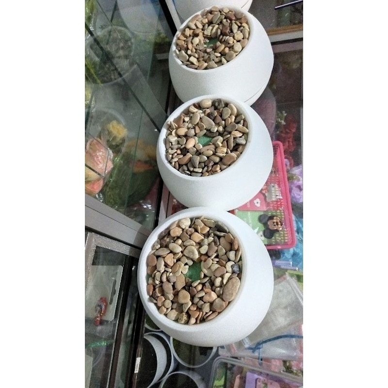 Jual Pot Vienna Bulat Premium + Busa + Batu Alam Murah | Shopee Indonesia
