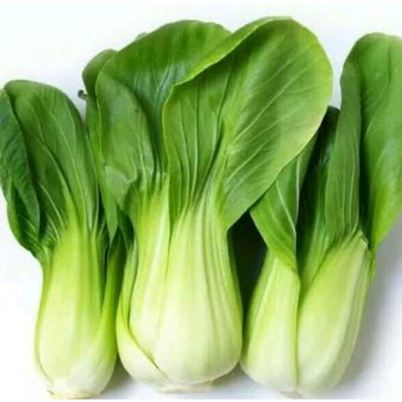 Jual Sayur Pakcoy Segar | Shopee Indonesia