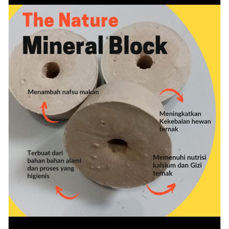 Jual Mineral Blok Suplemen Nutrisi Vitamin Block Kambing Domba Sapi 500 ...