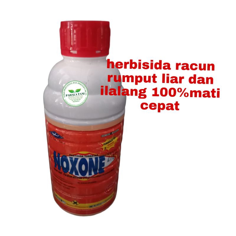 Jual NOXONE 276SL/racun rumput liar/obat rumput ilalang/racun rumput ...