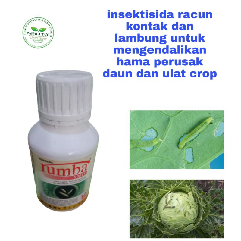 Jual Rumba 500ec/hama ulat/ulat crop/hama perusak daun/100ml | Shopee ...