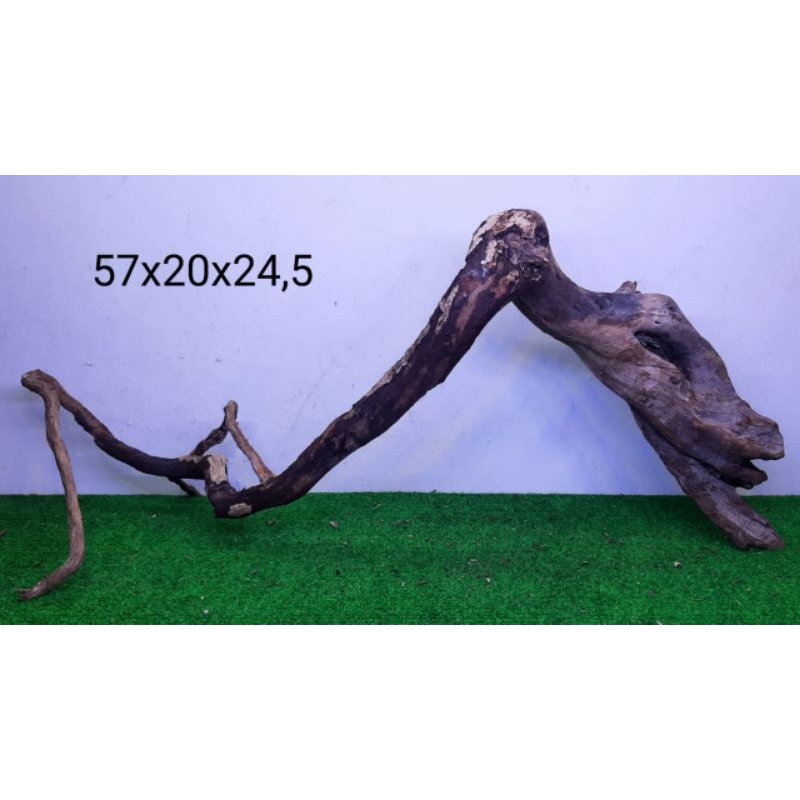 Jual Kayu Santigi Laut - Kayu Tenggelam - Aquascape - Channa - 57x20x24 ...