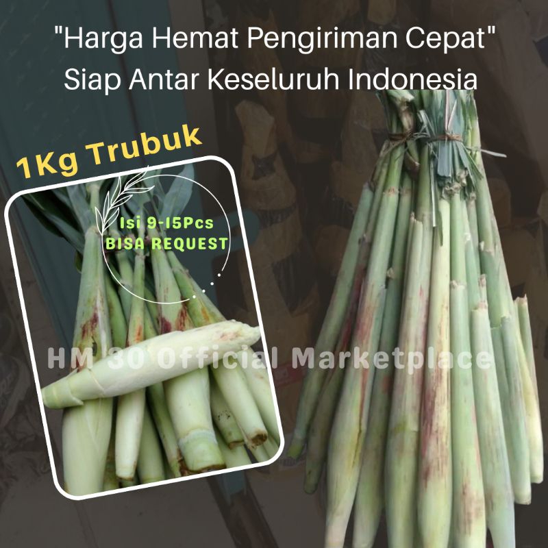 Jual Trubuk 1Kg Termurah Potongan Utuh Fresh Murah Trubus Telur Tebu ...