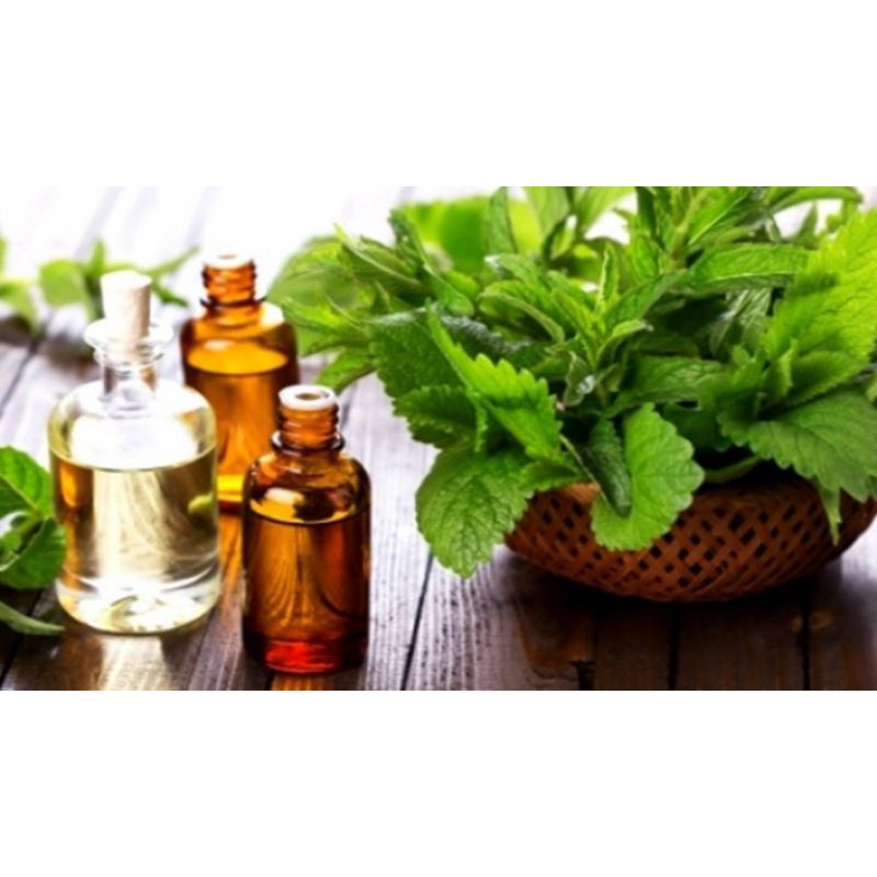 Jual 250ml Minyak Nilam / patchouli oil essential essensial therapeutic ...