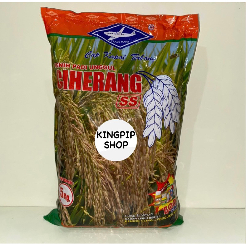 Jual benih padi ciherang ss cap kapal terbang 5kg | Shopee Indonesia