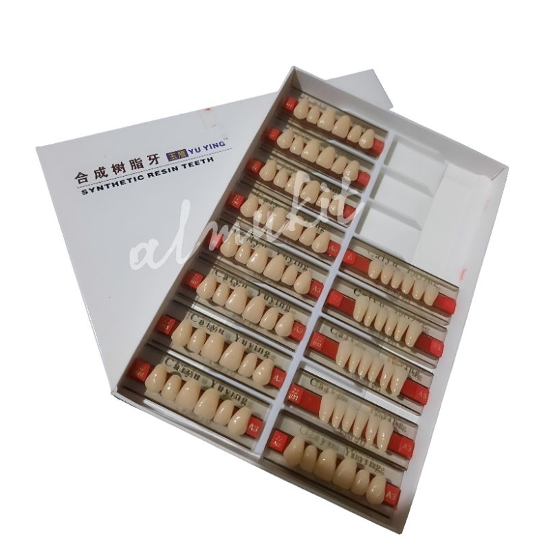 Jual Gigi Anterior caiyo | Shopee Indonesia