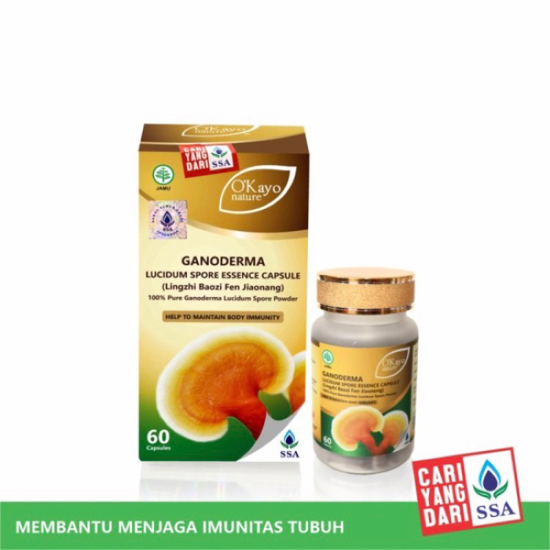Jual Ganoderma Lucidum Spore Capsule Okayo - Lingzhi Baozi Fen | Shopee ...