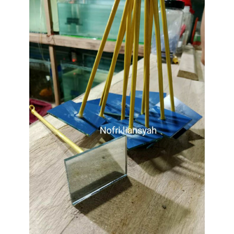 Jual STICK KACA CERMIN LATIH MENTAL IKAN CUPANG, CHANNA, LOUHAN ...
