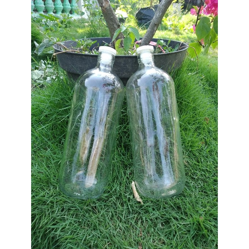 Jual [Paket isi 10] Botol Bensin 1 Liter kaca Botol Kaca 1000 ml BOTOL ...