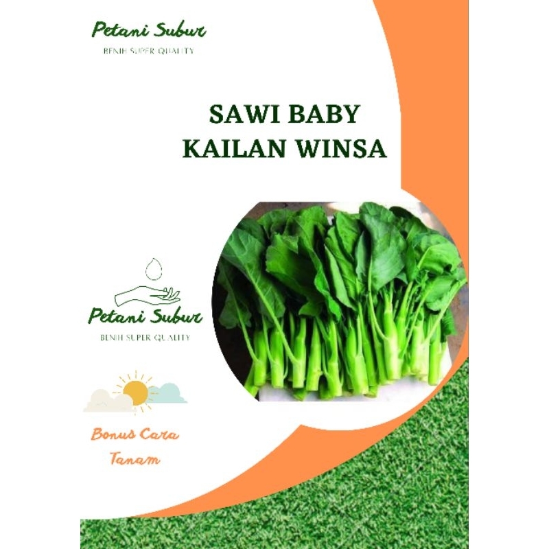 Jual 100 biji - Benih Baby Kailan WINSA | Shopee Indonesia Jual 100 biji - Benih Baby Kailan WINSA | Shopee Indonesia