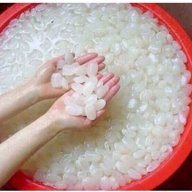 Jual KOLANG KALING CANGKALENG SEGAR 1 KG | Shopee Indonesia