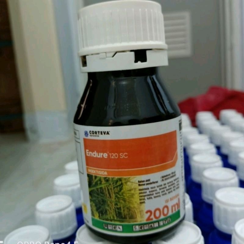 Jual Endure 120sc - ( 200 ml ) | Shopee Indonesia
